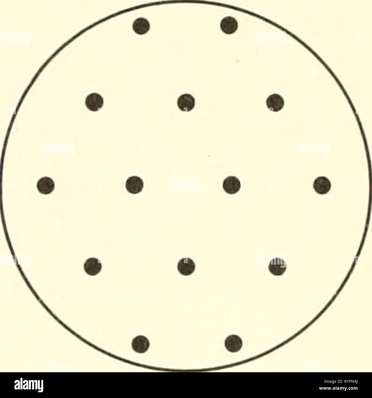 Microscope cross section cross sections hi-res stock photography and ...