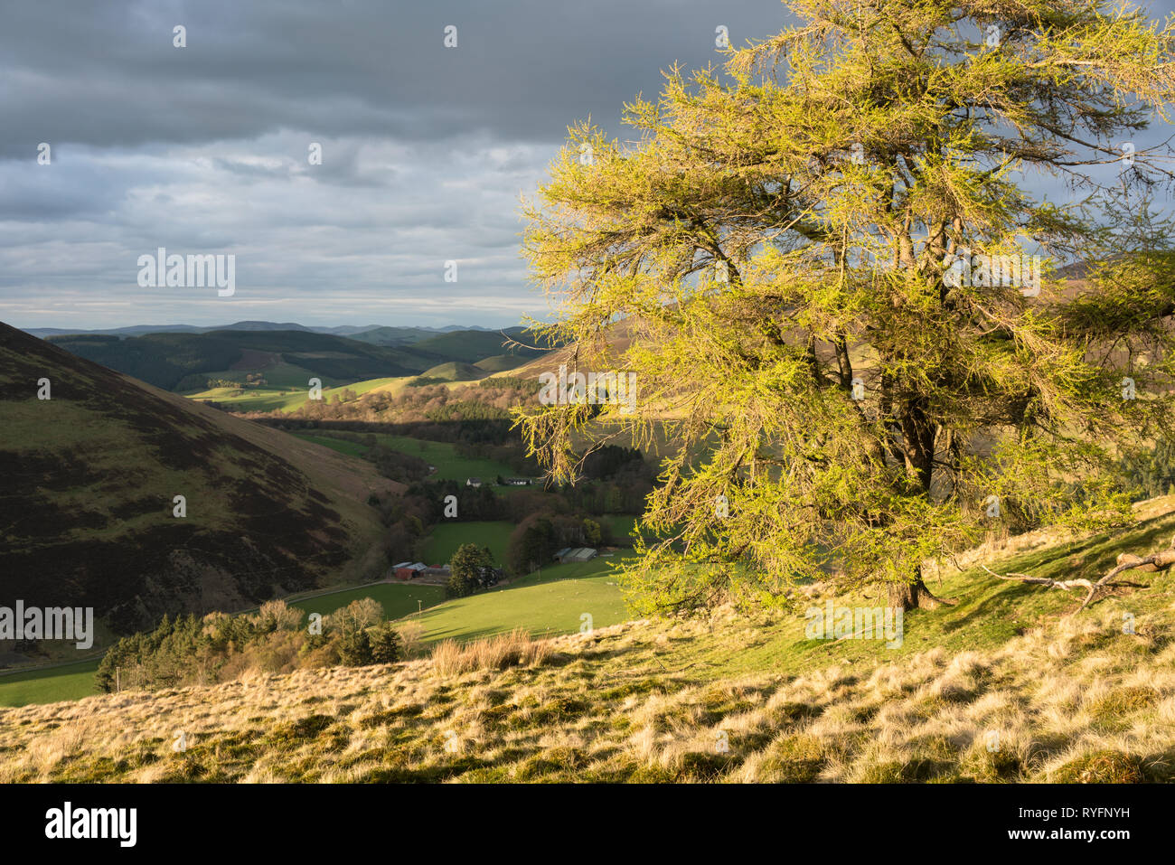 Culter water hi-res stock photography and images - Alamy