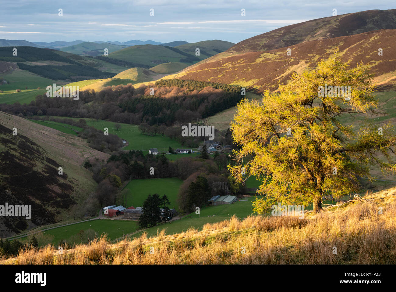 Pentland hills scenic view hi-res stock photography and images - Alamy