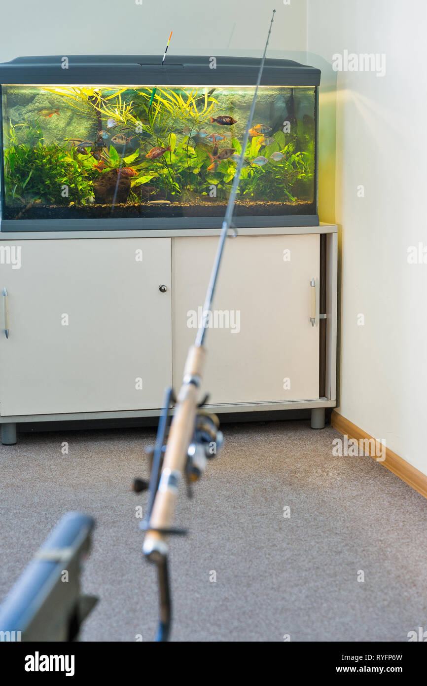 Living in the aquarium hi-res stock photography and images - Alamy