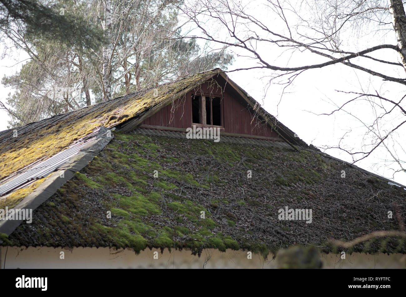 Moss covered house hi-res stock photography and images - Alamy