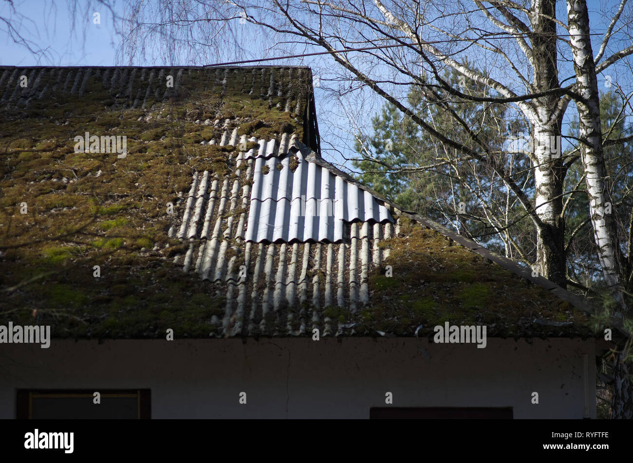 Moss Covered Building Stock Photos & Moss Covered Building Stock Images ...