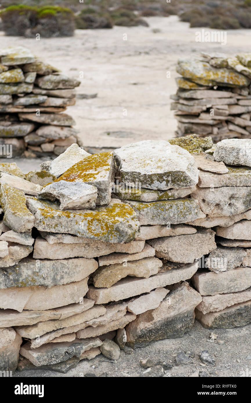 Wiebbe hayes fort hi-res stock photography and images - Alamy