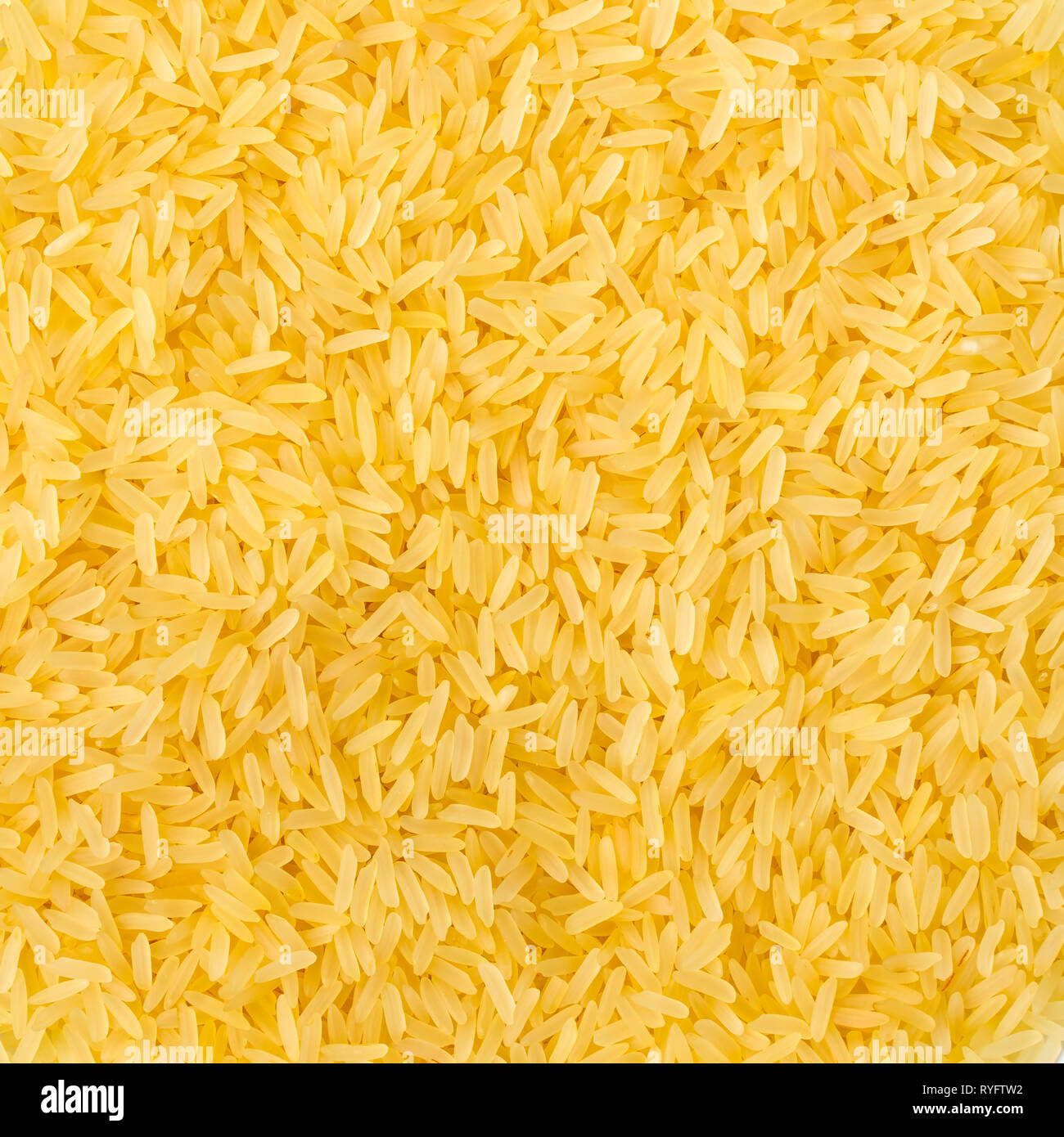 Rice harvest art hi-res stock photography and images - Alamy