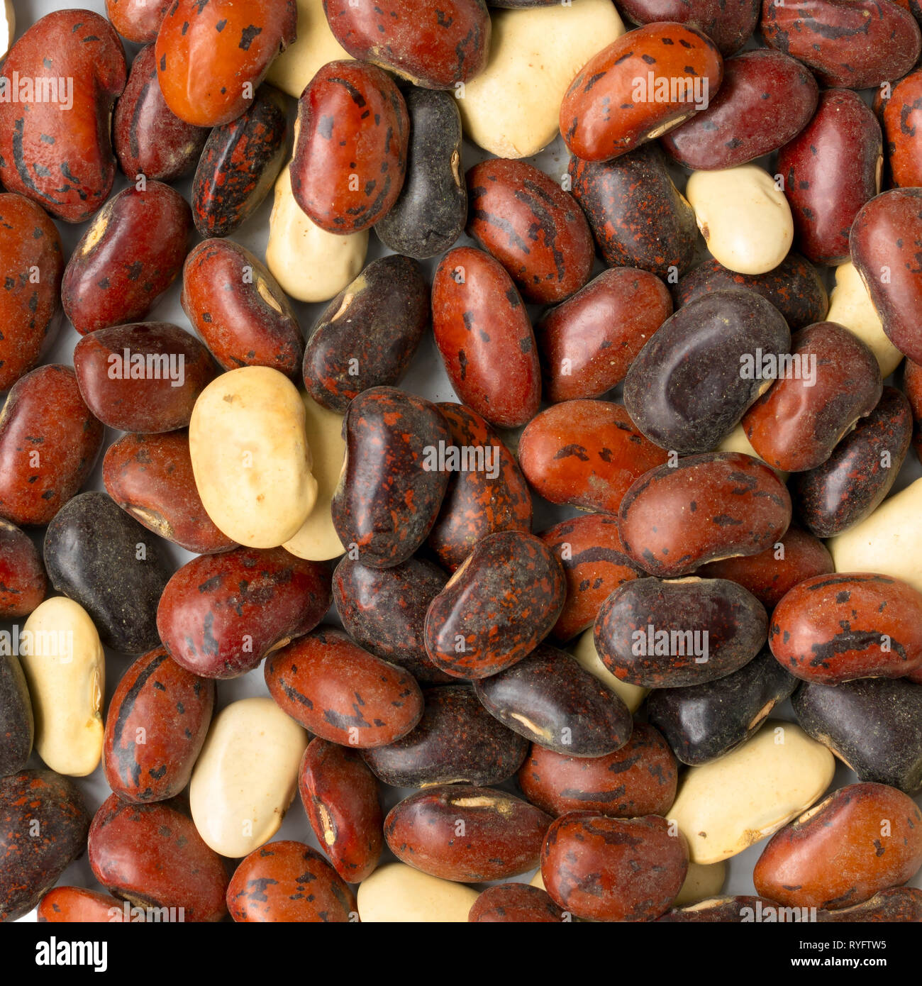 fine colored beans as a background or texture Stock Photo - Alamy