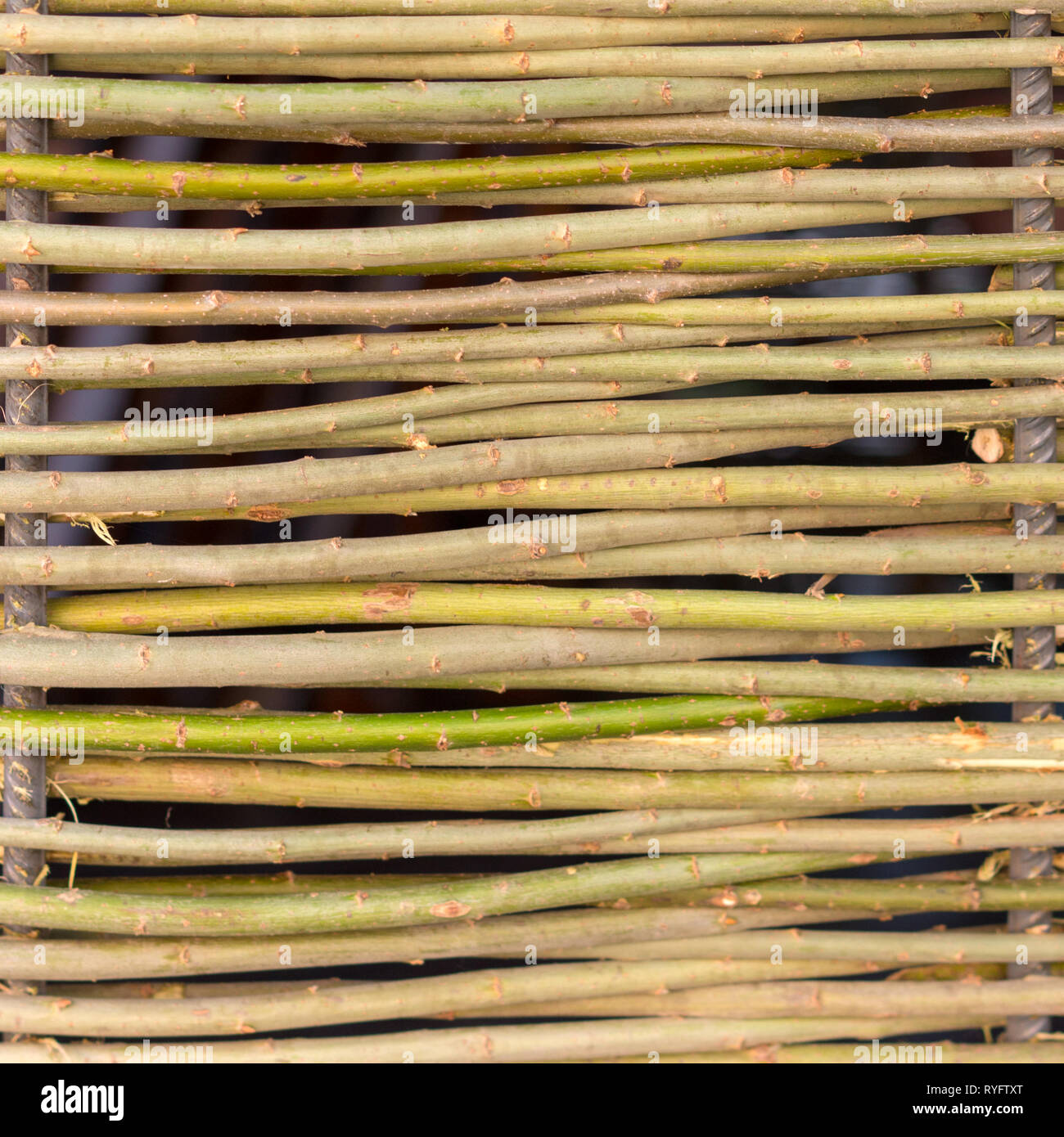 wall of willow twigs as background. Rural old fence, made from willow ...