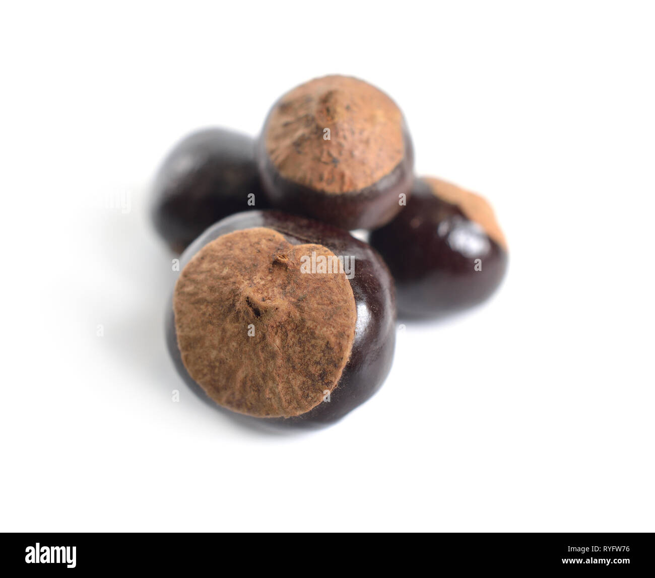 Guarana seed Paullinia cupana. Isolated on white background Stock Photo ...