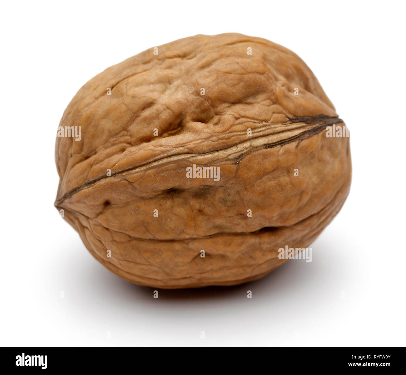 Single walnut isolated on white background Stock Photo - Alamy