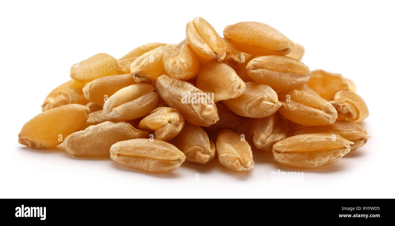 Heap of dry wheat grains isolated on white background Stock Photo - Alamy