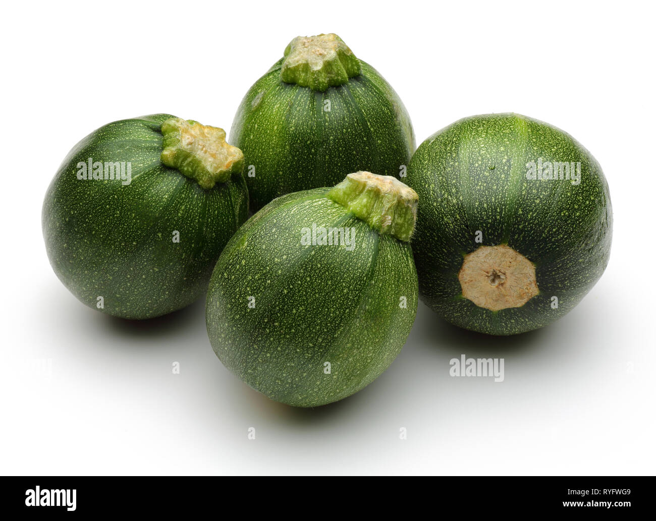 Green round zucchini isolated on white background Stock Photo - Alamy