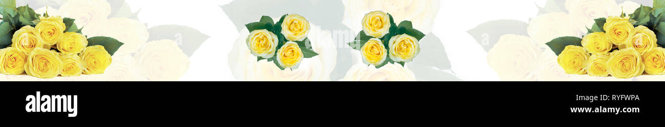 Long banner with beautiful bouquets of yellow roses isolated on a white ...