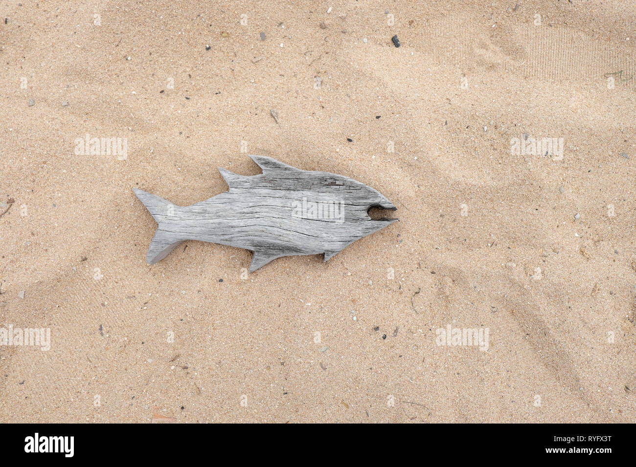 Tropical fish caribbean white sand hi-res stock photography and images ...