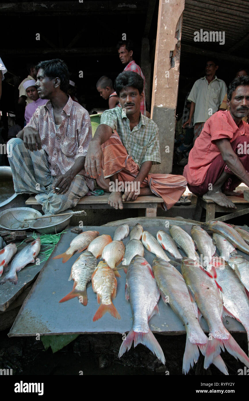 BANGLADESH Fish on sale at market at Haluaghat, Mymensingh region photo ...