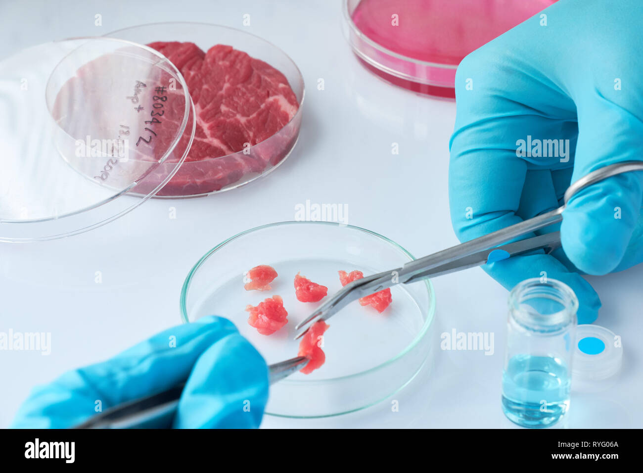Cultured meat hi-res stock photography and images - Alamy