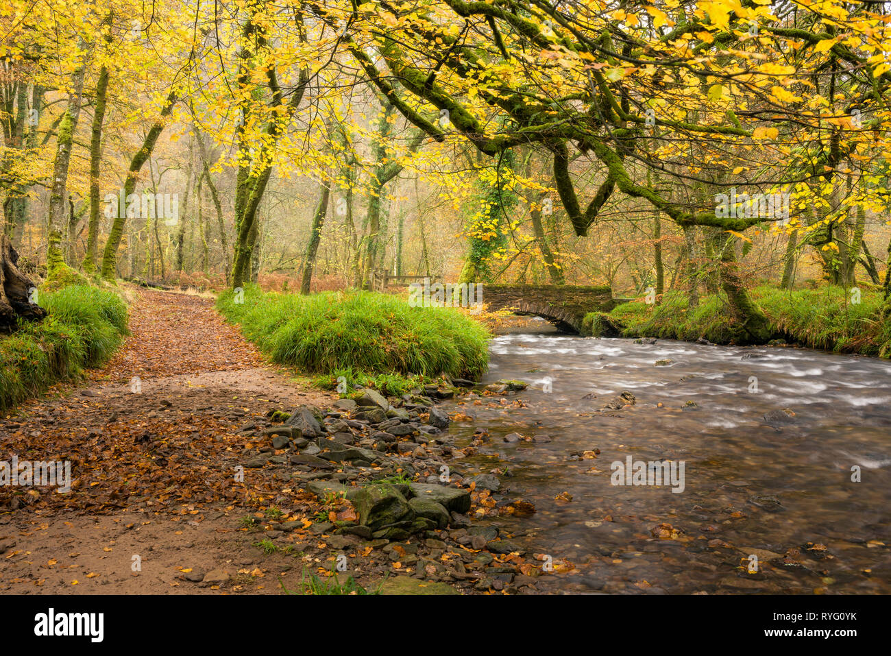Castle Bridge over Dane's Brook in Exmoor National Park near Dulverton ...