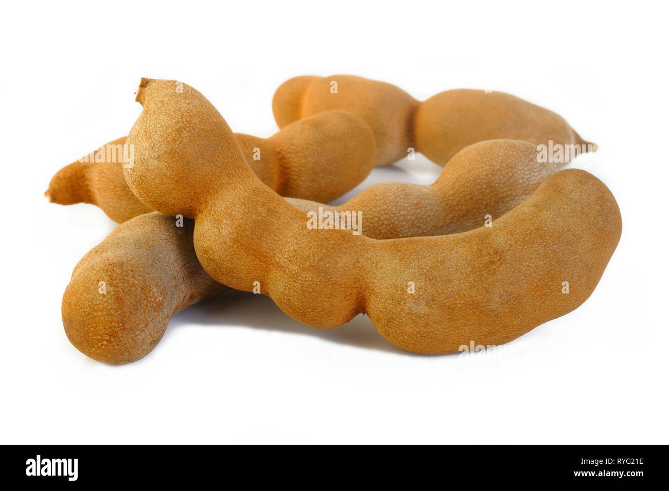 Tamarind isolated on white background Stock Photo - Alamy