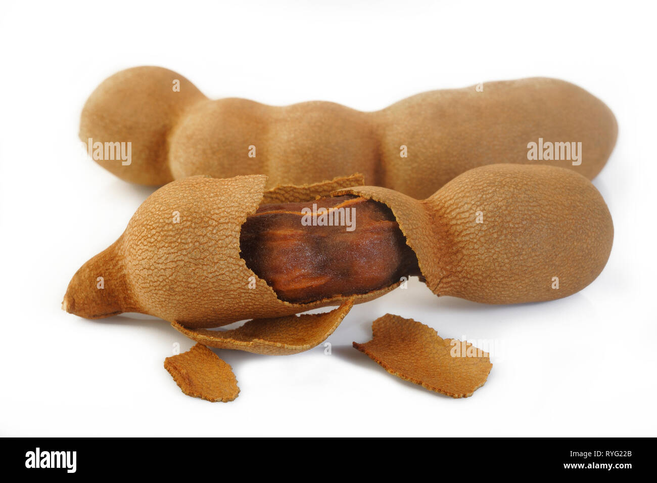 Tamarind isolated on white background Stock Photo - Alamy