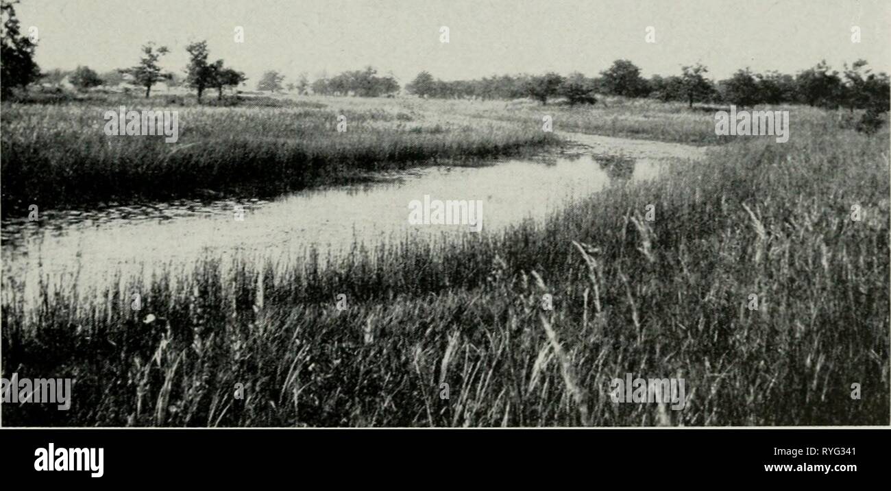 The Dunesland heritage of Illinois Stock Photo - Alamy