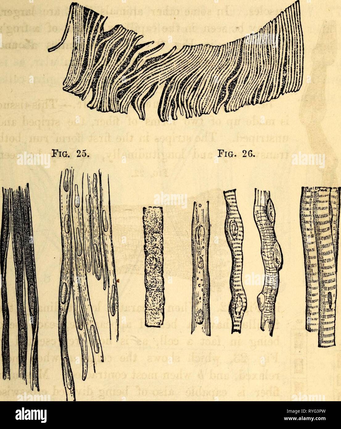 51 chem hi-res stock photography and images - Alamy