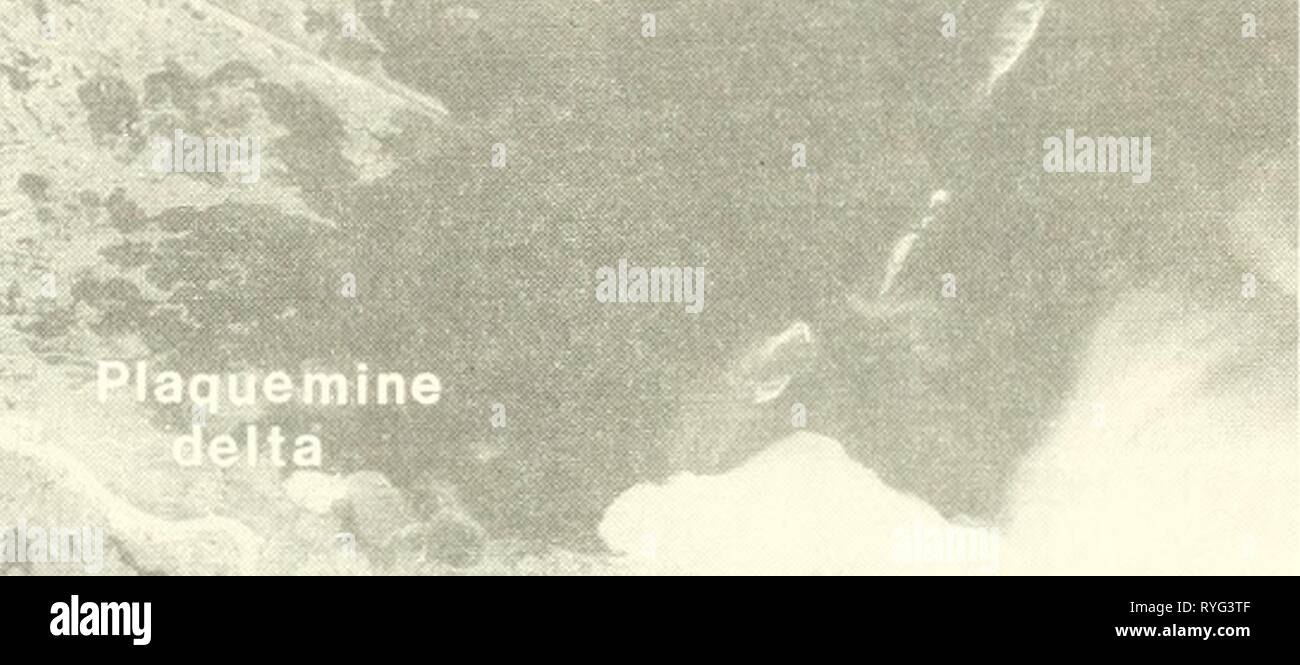 The ecology of delta marshes Stock Photo - Alamy