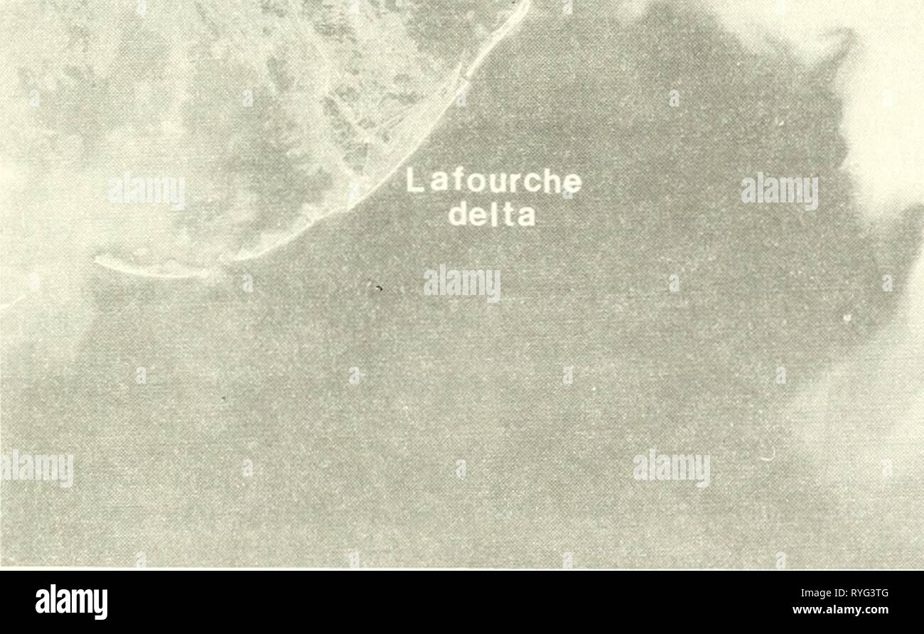 The ecology of delta marshes Stock Photo - Alamy