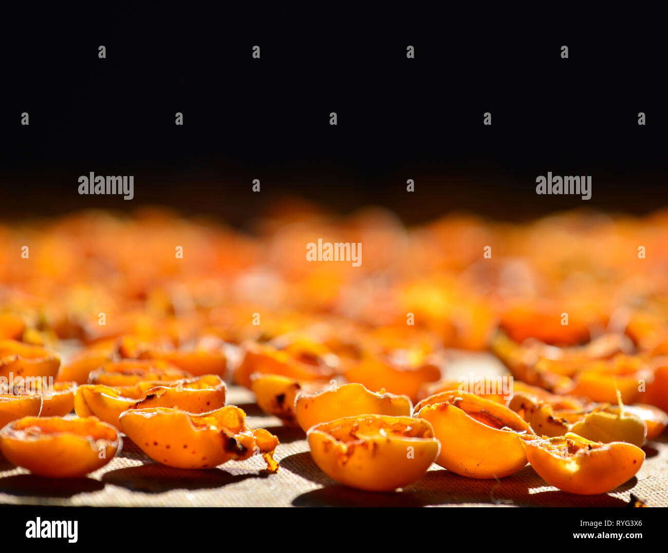 Apricot drying hi-res stock photography and images - Alamy