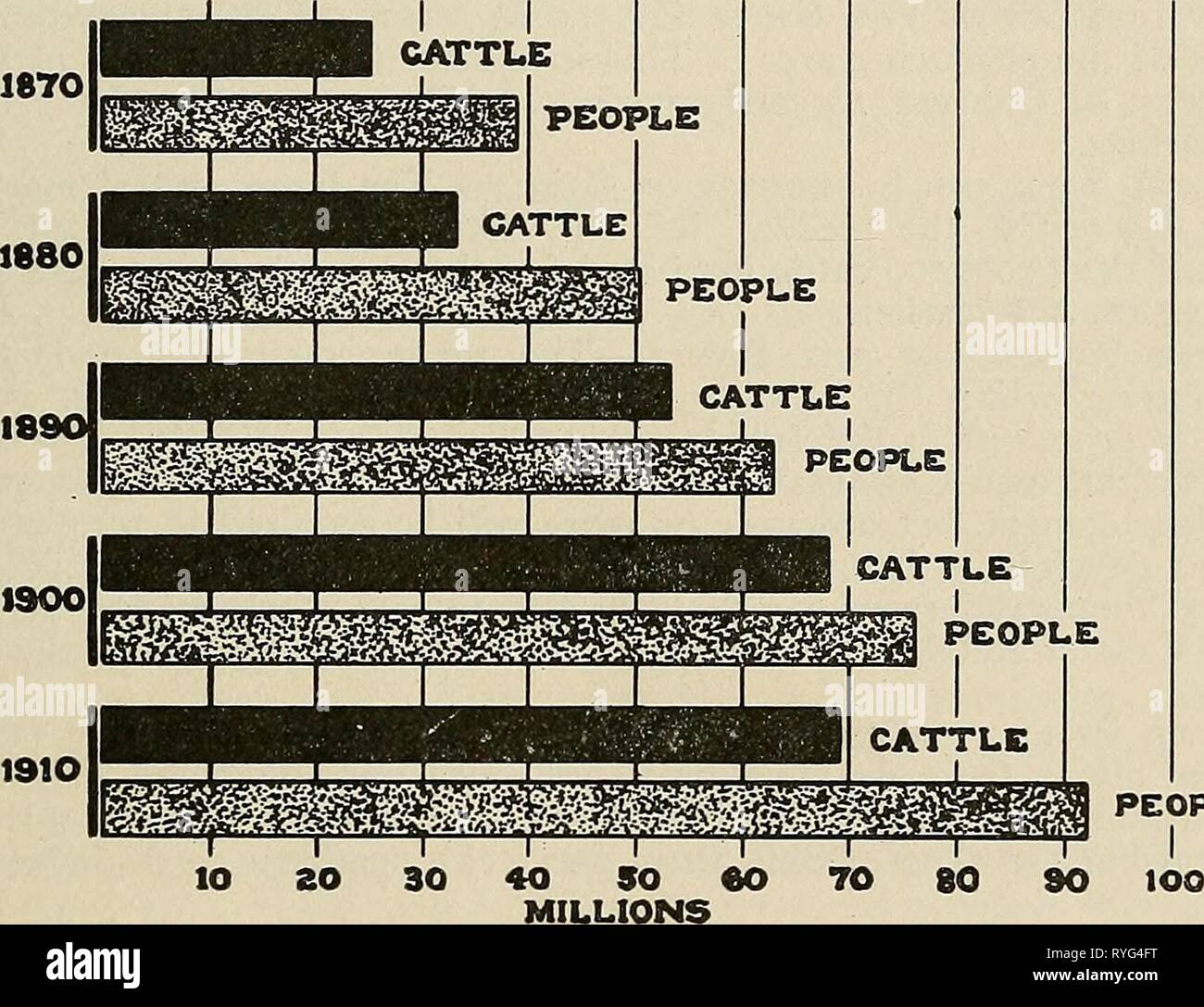Economic factors in cattle feeding Stock Photo - Alamy