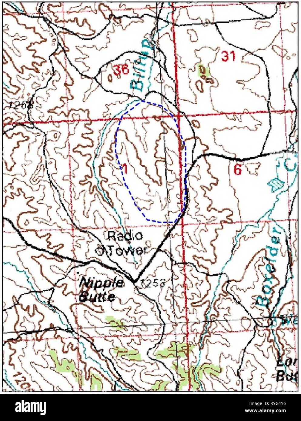 Plant species of concern and plant associations of Powder River county ...