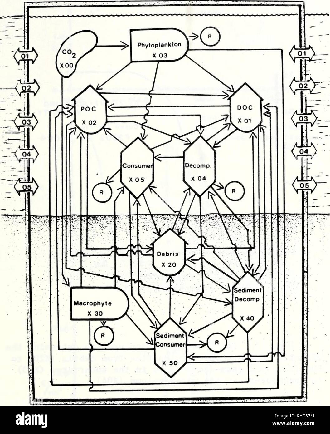 Ecological structure and function of Stock Photo - Alamy