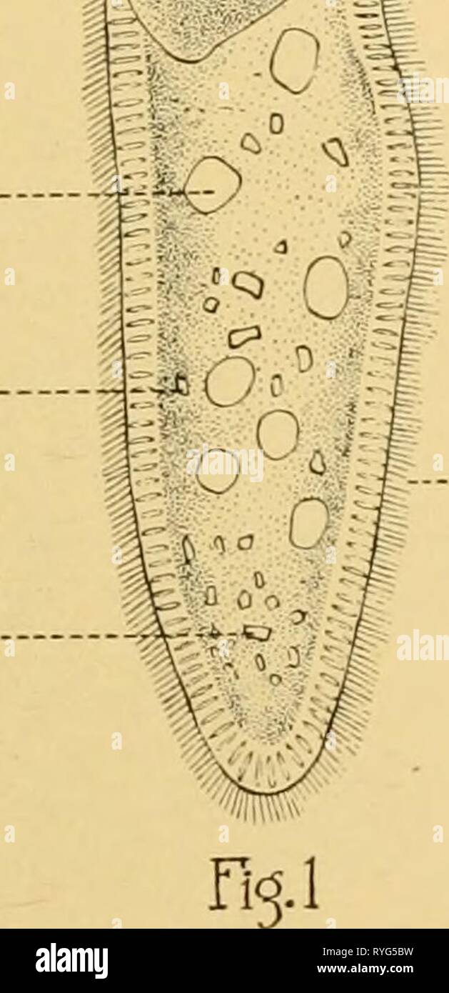The effects of inanition and Stock Photo - Alamy
