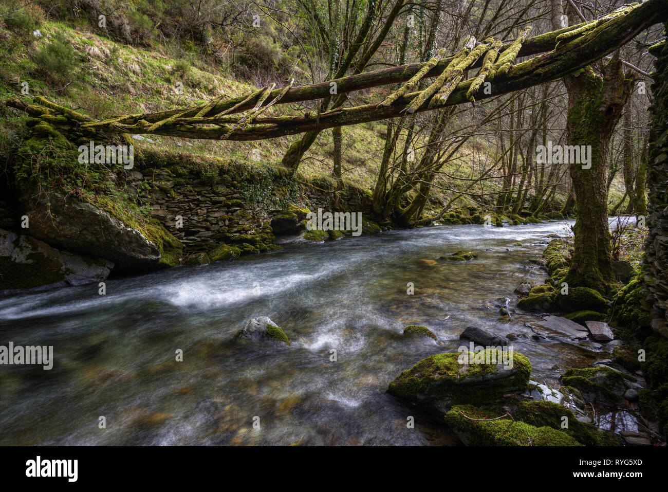 Old ruins in the woods hi-res stock photography and images - Alamy