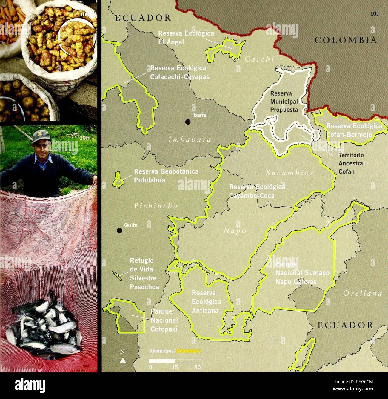 Cofanes hi-res stock photography and images - Alamy