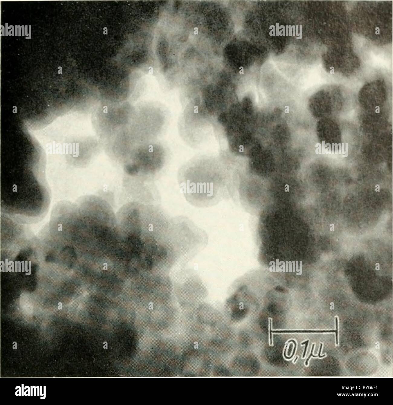 Electron microscopy; proceedings of the Stockholm Conference, September ...