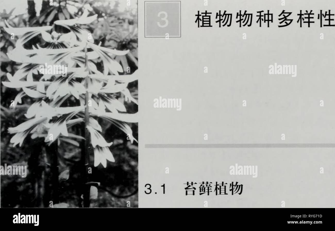 du jiang yan sheng wu Stock Photo - Alamy