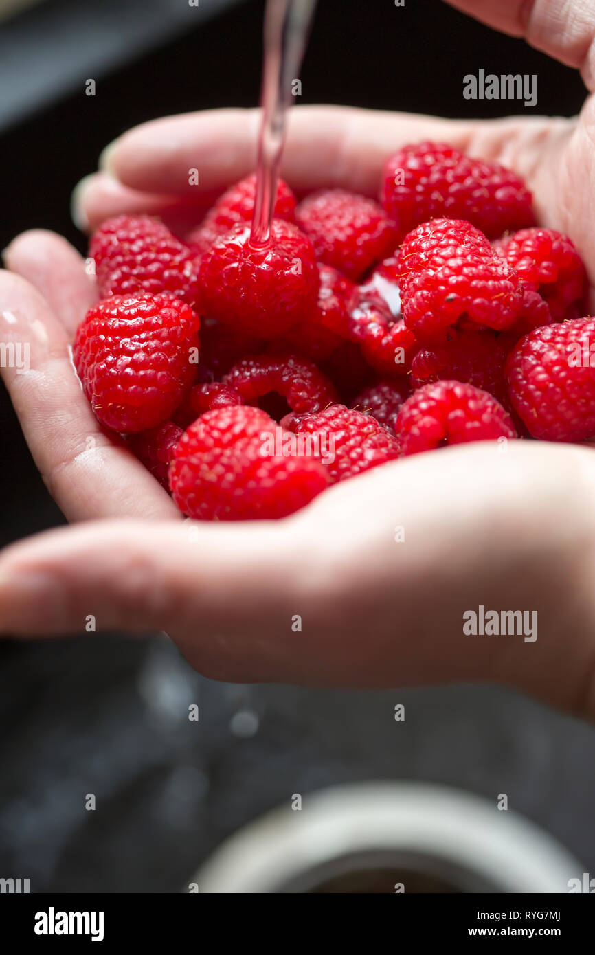 Hands washing raspberries under the water Stock Photo - Alamy