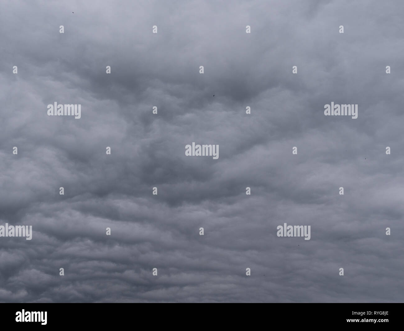 Gray and dark storm clouds before the storm Stock Photo - Alamy