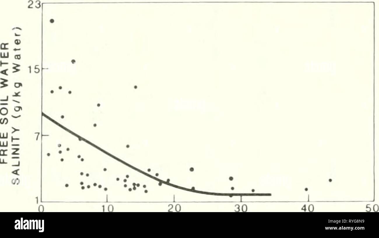 The ecology of delta marshes Stock Photo - Alamy