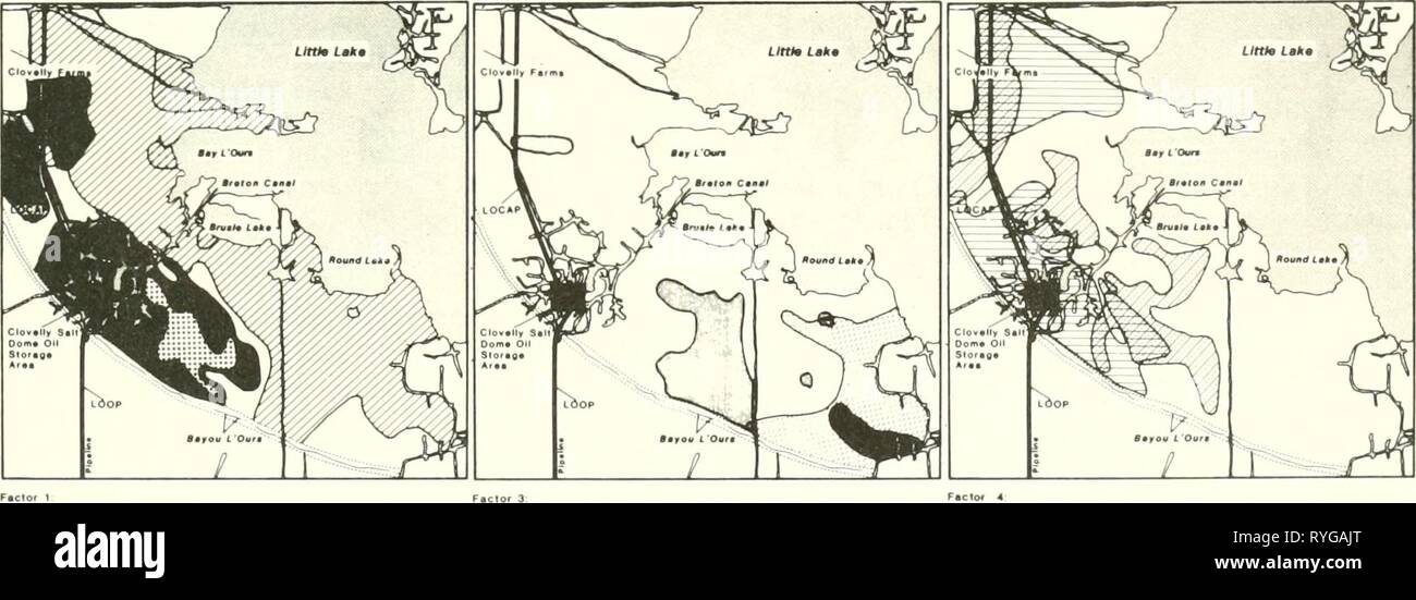 The ecology of delta marshes Stock Photo - Alamy