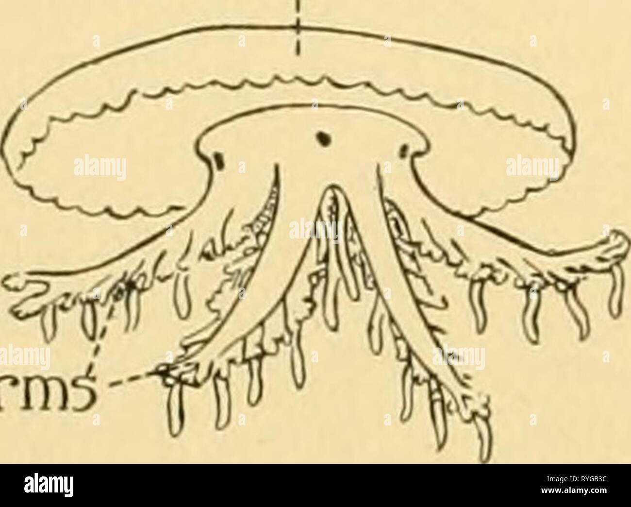 The effects of inanition and Stock Photo - Alamy