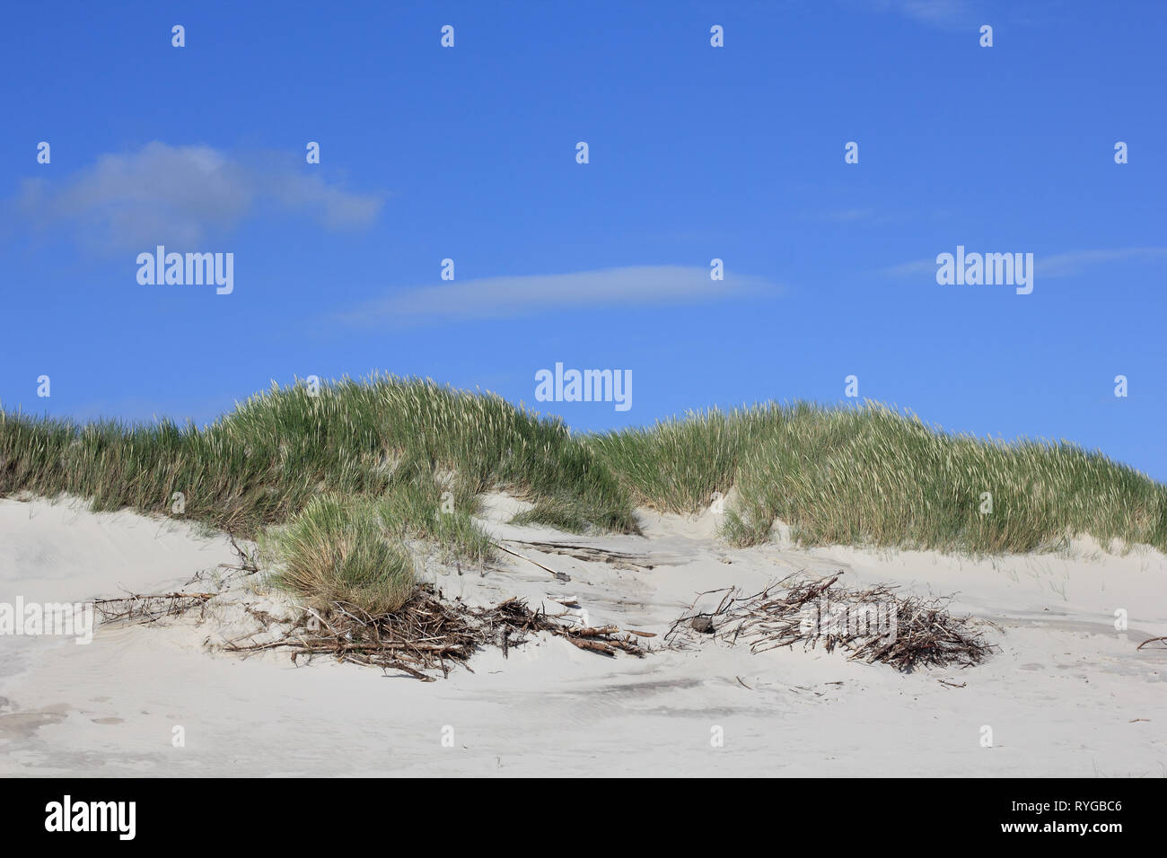 Dune at the coast of the North sea island Sylt Stock Photo - Alamy