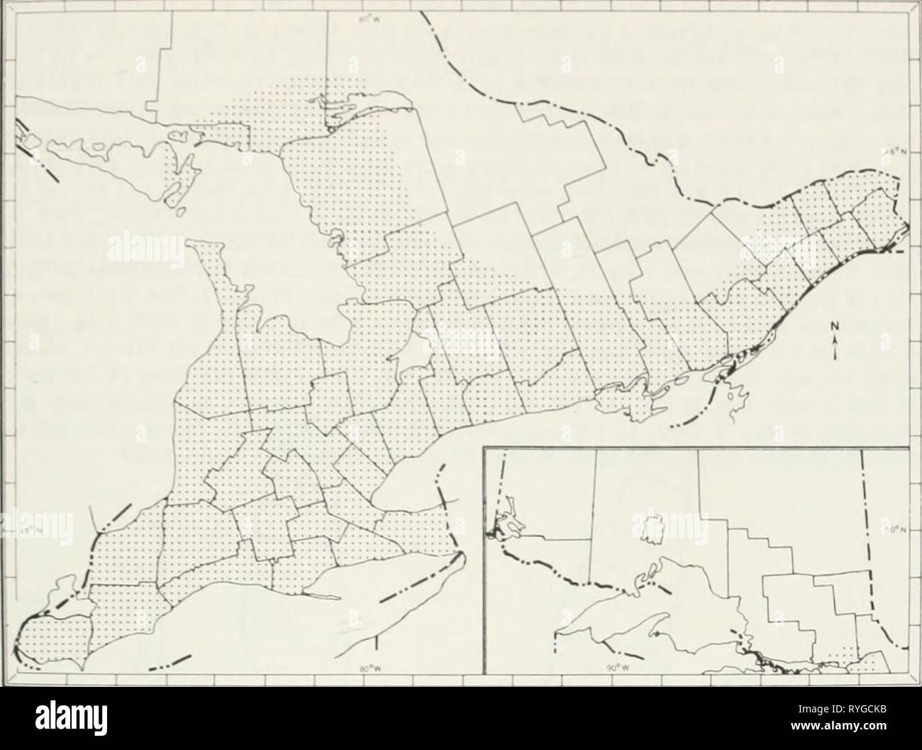 The earthworms (lumbricidae and sparganophilidae Stock Photo - Alamy