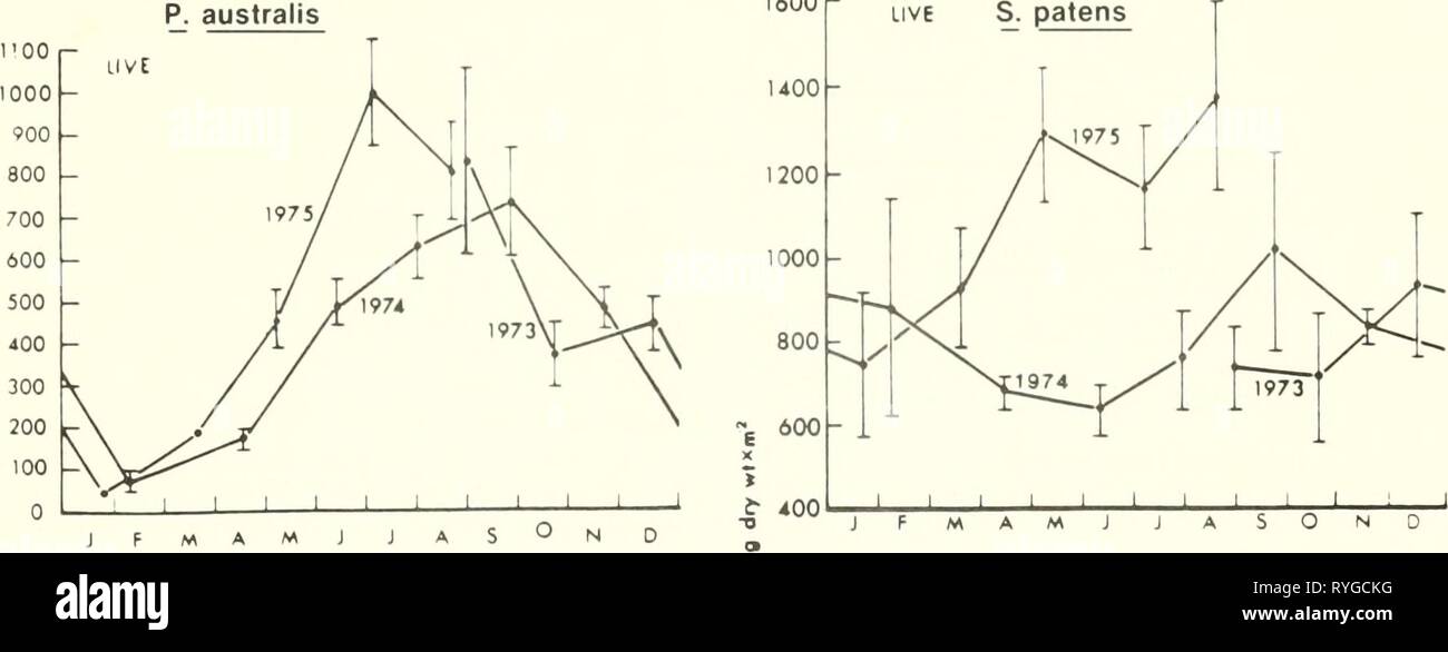 The ecology of delta marshes Stock Photo - Alamy
