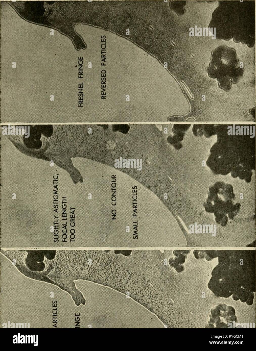 Electron microscope drawing hi-res stock photography and images - Alamy