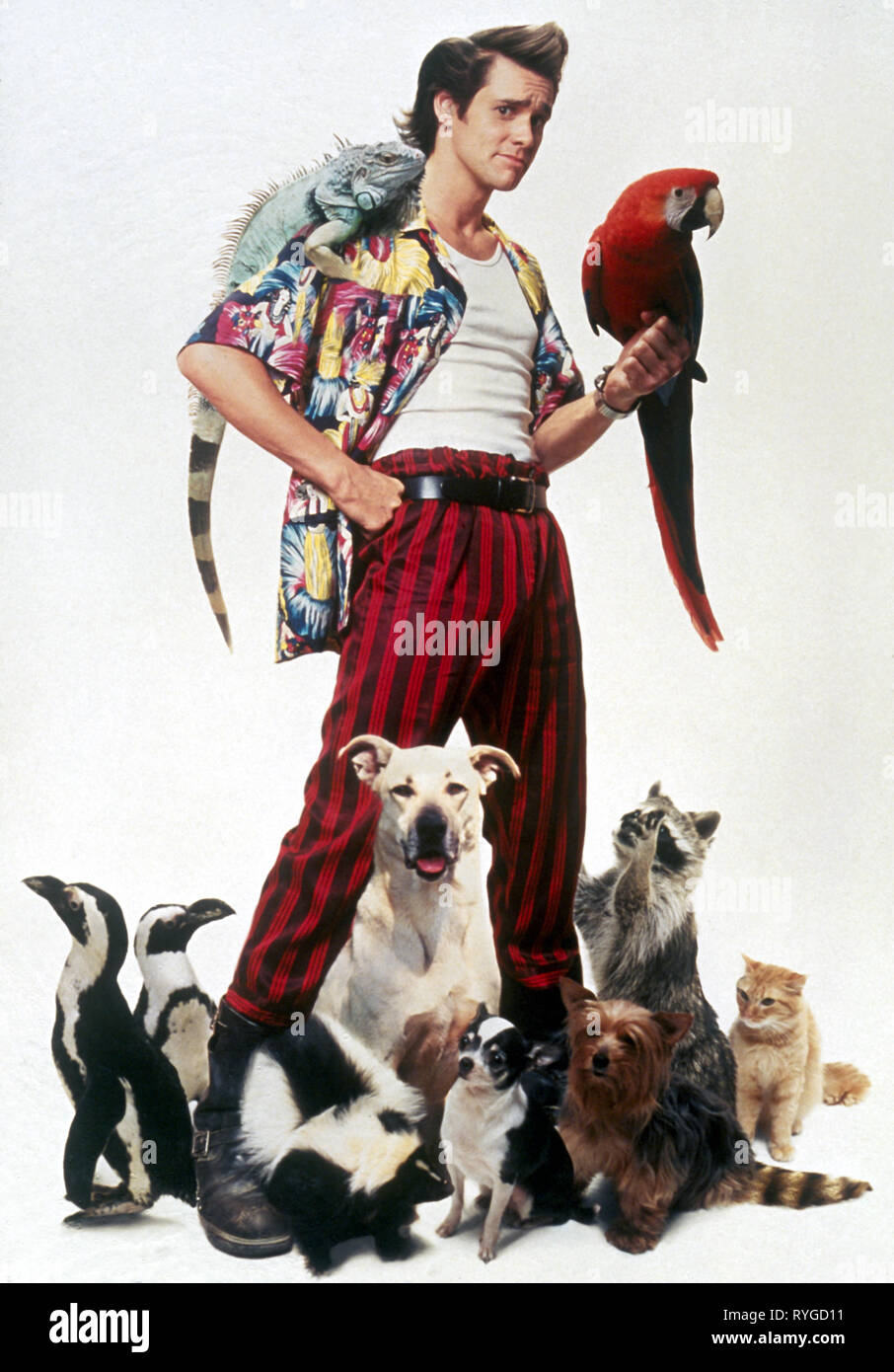 Ace Ventura High Resolution Stock Photography and Images - Alamy