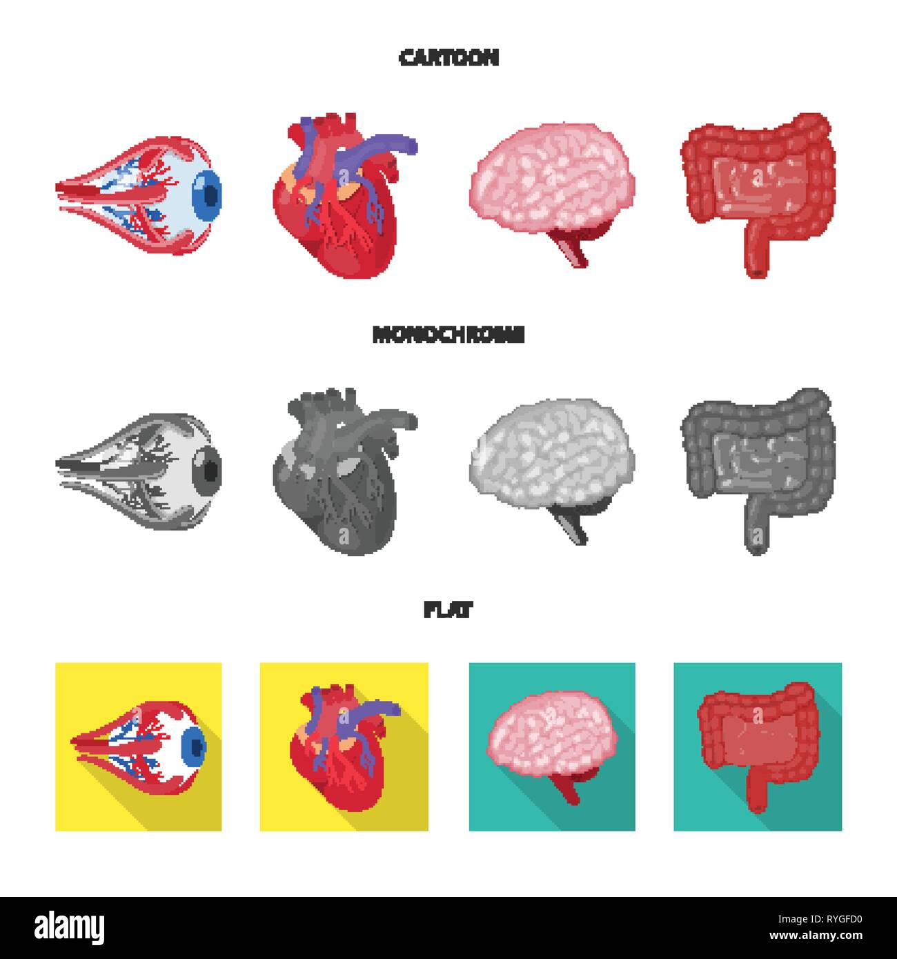 eyeball,heart,brain,eye,cardiology,mind,cornea,cardiovascular ...