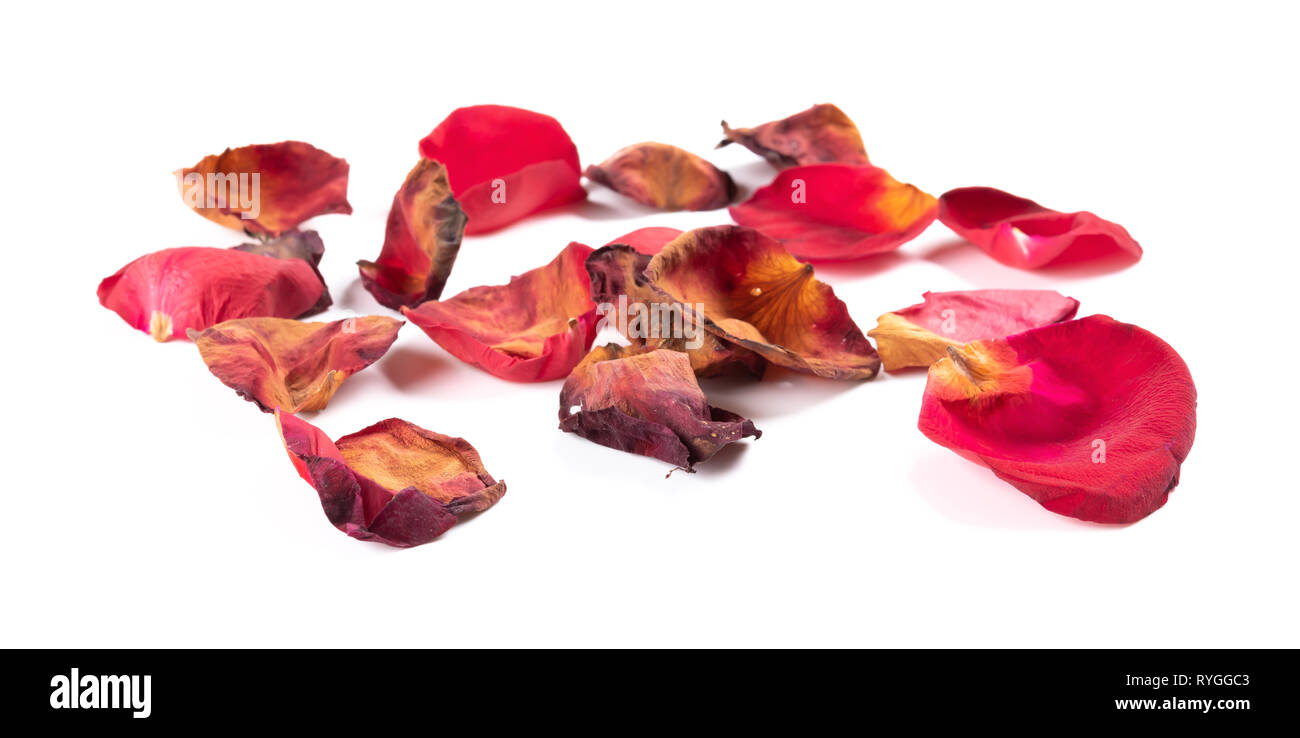 Roses side view Cut Out Stock Images & Pictures - Alamy