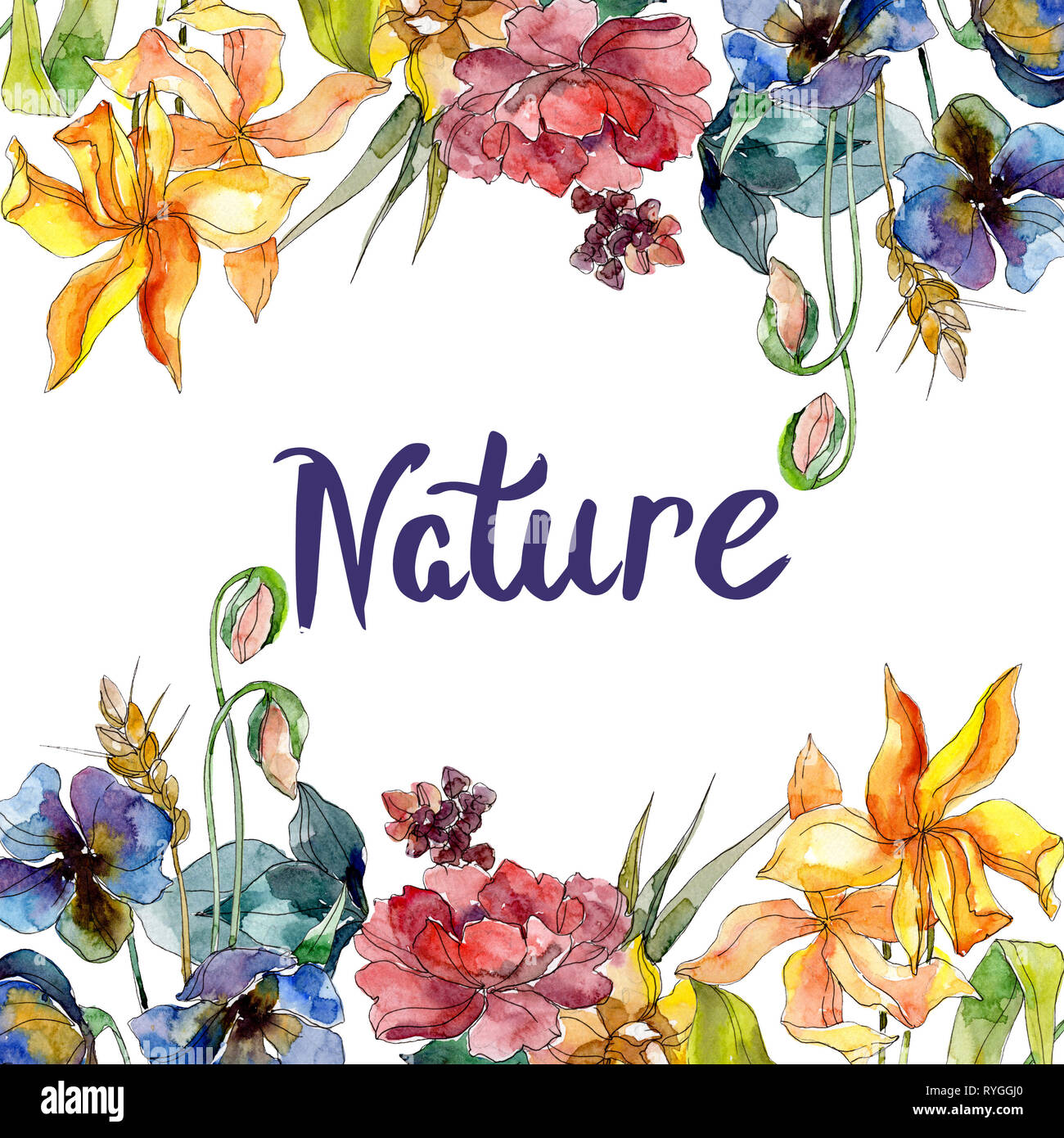 Wildflower bouquet floral botanical flowers. Watercolor background ...