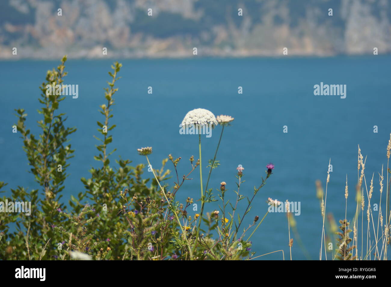 blue sea and perfect destination to travel Stock Photo - Alamy
