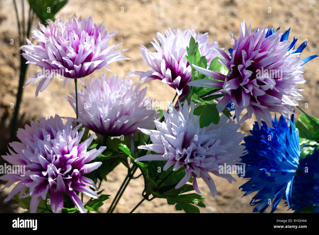 Bright and beautiful colors of plastic flowers Stock Photo - Alamy