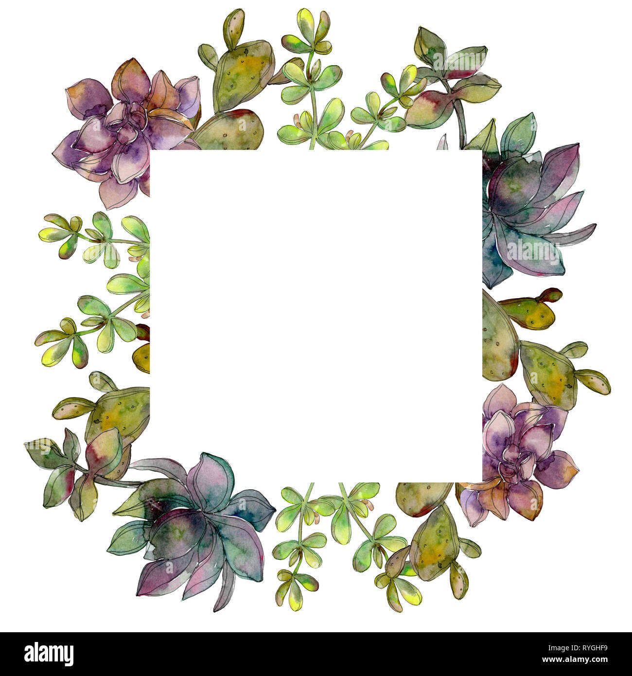 Jungle botanical succulent flower. Watercolor background illustration ...